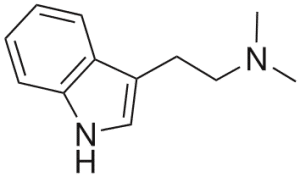 What Is the Difference between 5-MeO DMT and DMT? Choosing a DMT ...