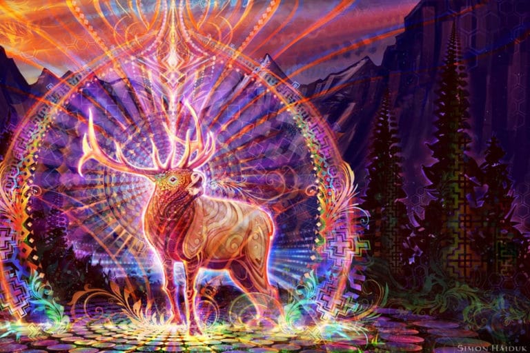 Learning From Animals with Psychedelic Intelligence - Psychedelic Times
